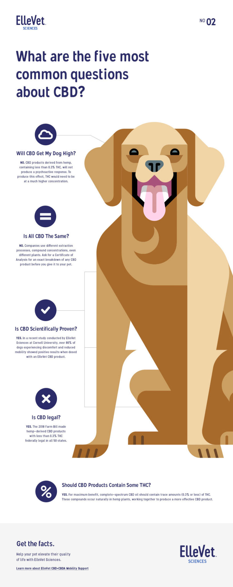 What Are The 5 Most Common Questions About CBD What Are The 5 Most Common Questions About CBD