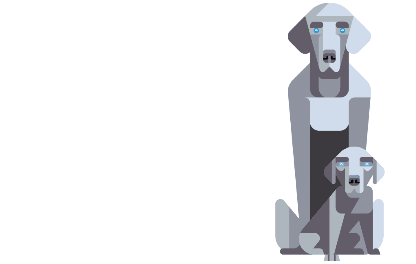 Can CBD Help Dogs of All Ages?