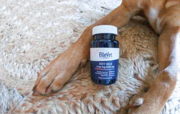 ElleVet Sciences Clinically-Tested CBD-CBDA Soft Gel Capsules For Dogs