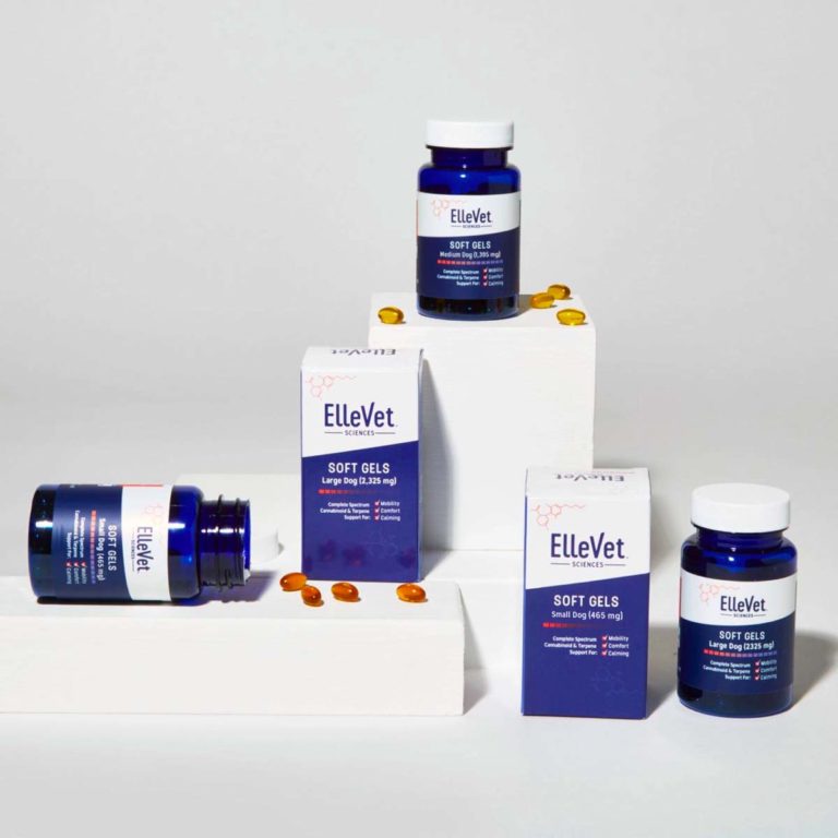 CBD Chews for Dogs | ElleVet Sciences