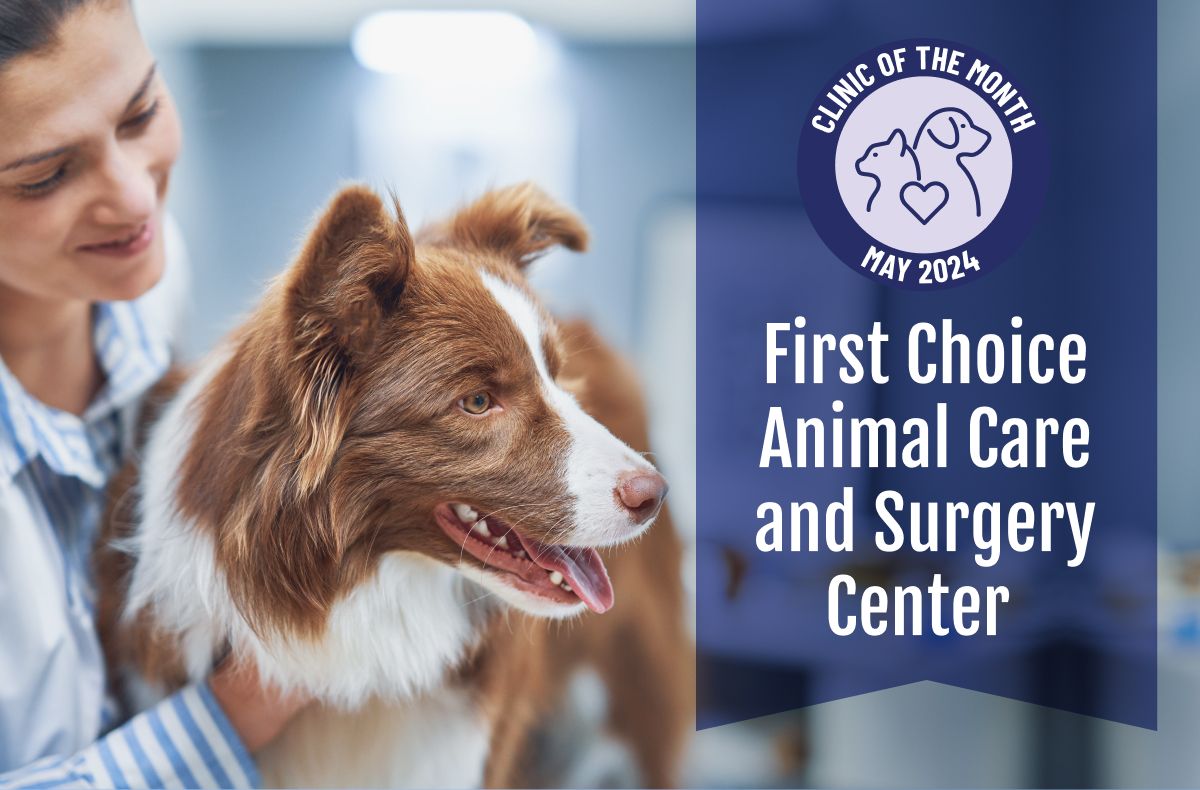 First Choice Animal Care and Surgery Center: ElleVet’s May Clinic of ...