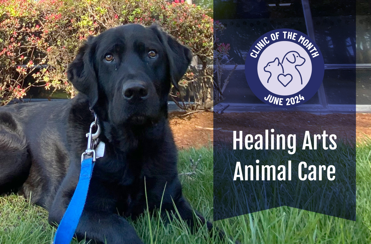 Healing Arts Animal Care: ElleVet’s June Clinic of the Month | ElleVet ...