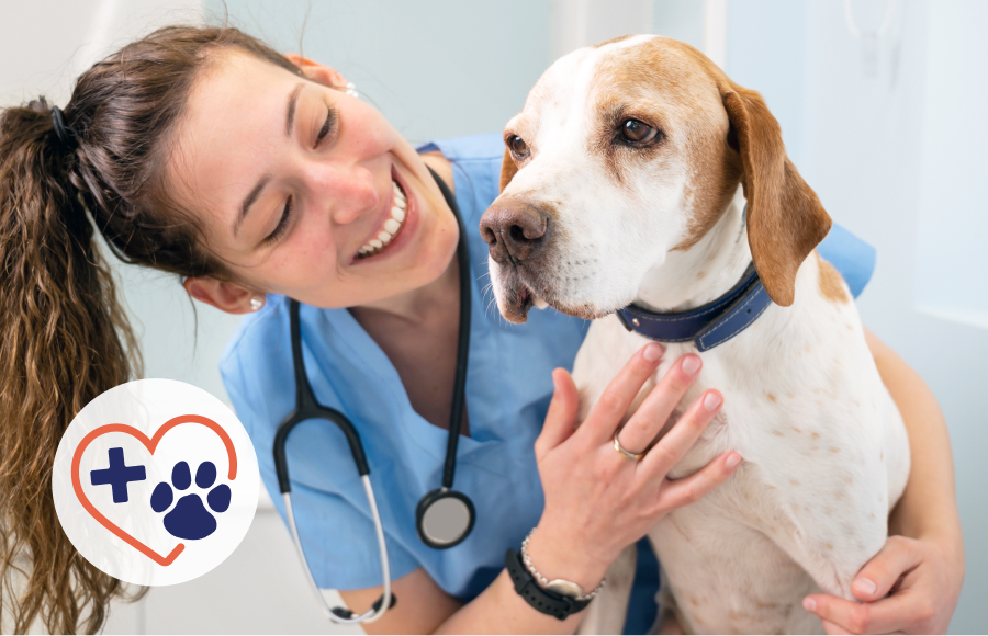 Celebrating Veterinary Technicians | ElleVet Sciences