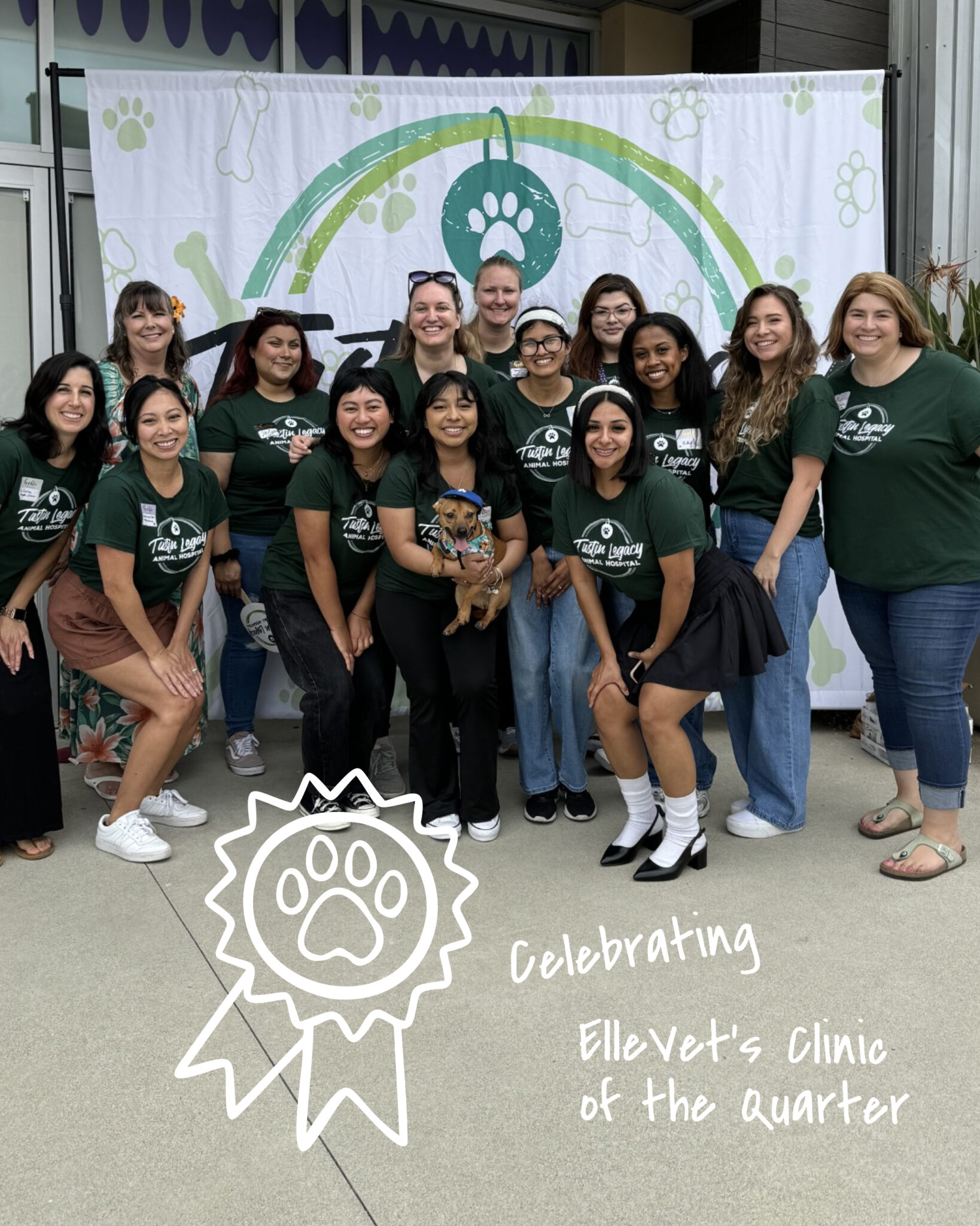 Tustin Legacy Animal Hospital: ElleVet’s Clinic of the Quarter ...