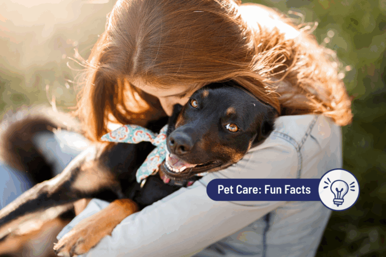 The Co-Evolution of Dogs & Humans | ElleVet Sciences