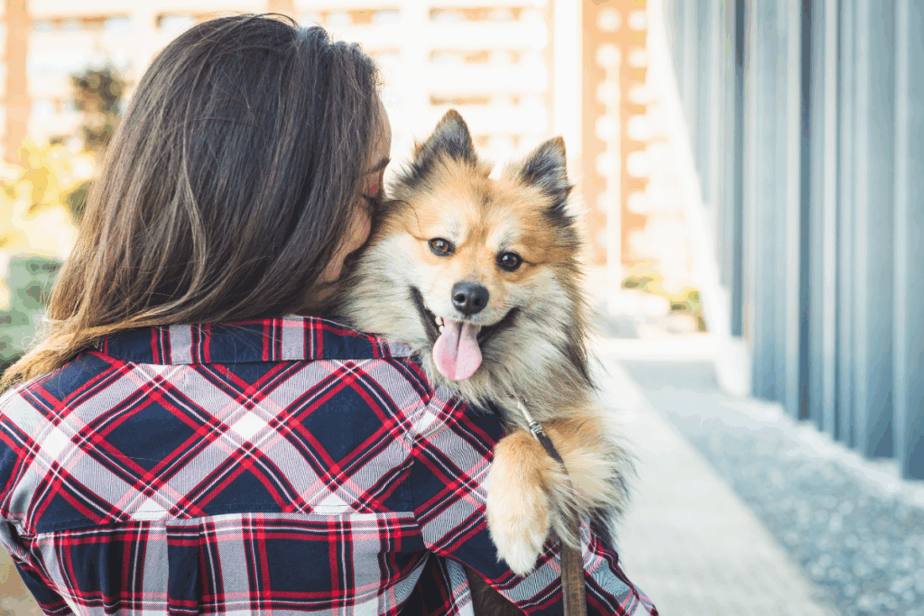 The Co-Evolution of Dogs & Humans | ElleVet Sciences