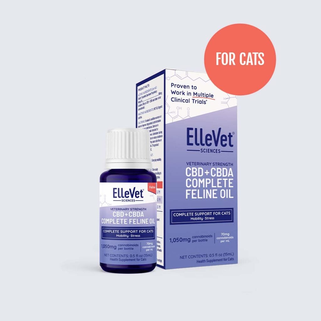 CBD For Cats - Chews, Paste, Oils, & More | ElleVet Sciences