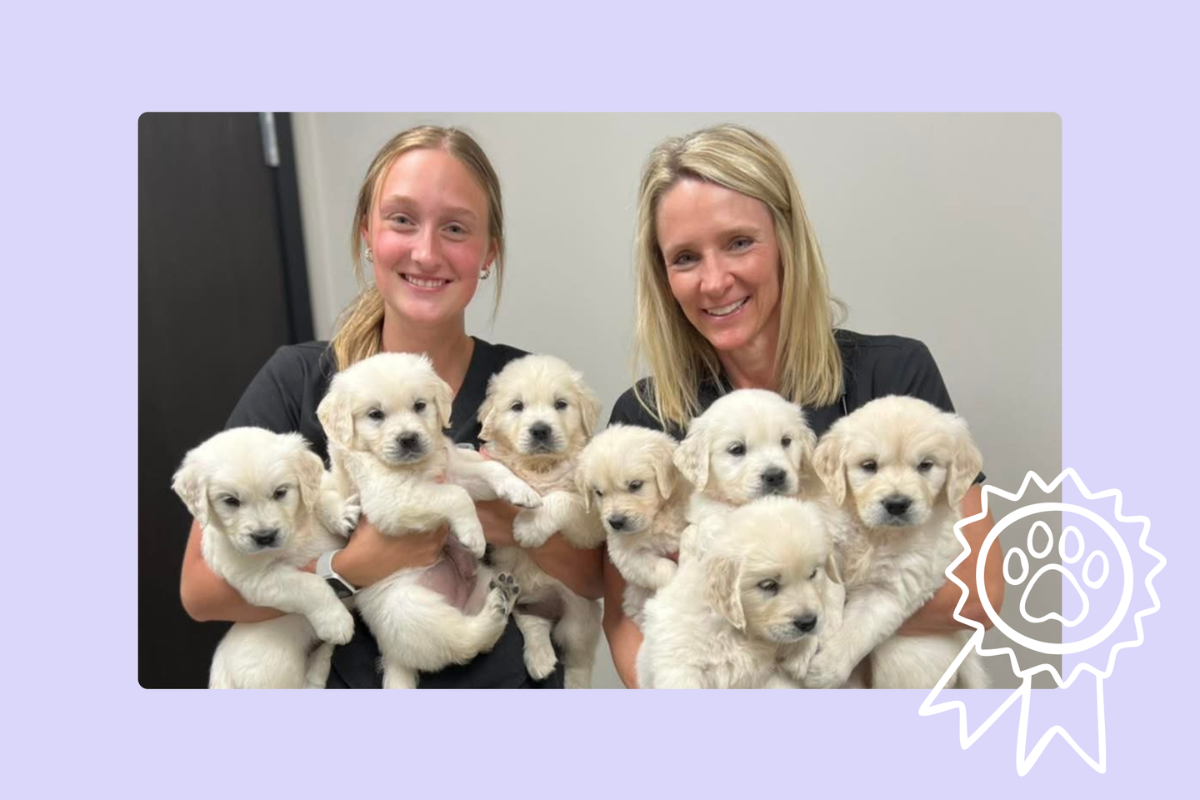 Ehlers Animal Care: ElleVet’s Clinic of the Quarter | ElleVet Sciences