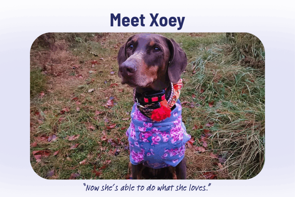 Pet Spotlight Sunday: Meet Xoey | ElleVet Sciences