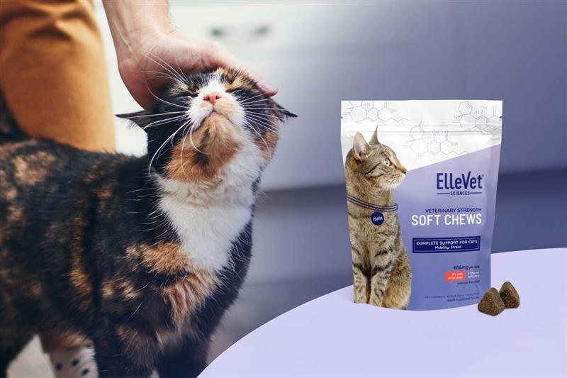 ElleVet Sciences Launches Feline Chews with CBD + CBDA | ElleVet Sciences